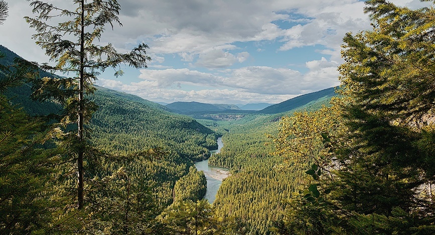 Exploration du parc de Wells Gray au Canada : nature vierge et cascades ...