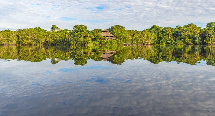 Découvrez la beauté de l'Amazonie équatorienne en Équateur