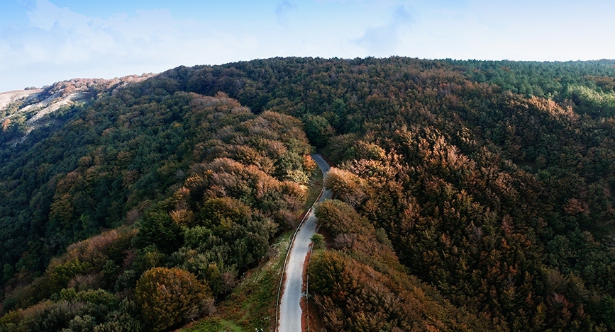 Explorez le Parc National de l'Aspromonte