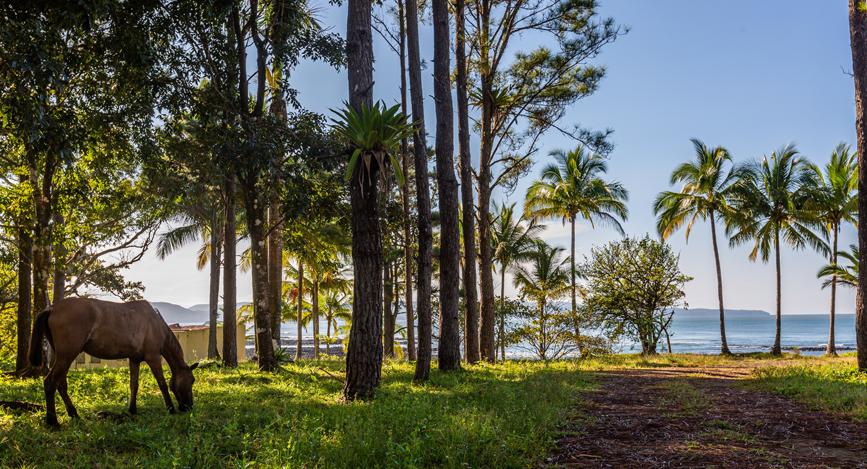Veraguas, Panama : Une Aventure d'Exception au Cœur du Pays