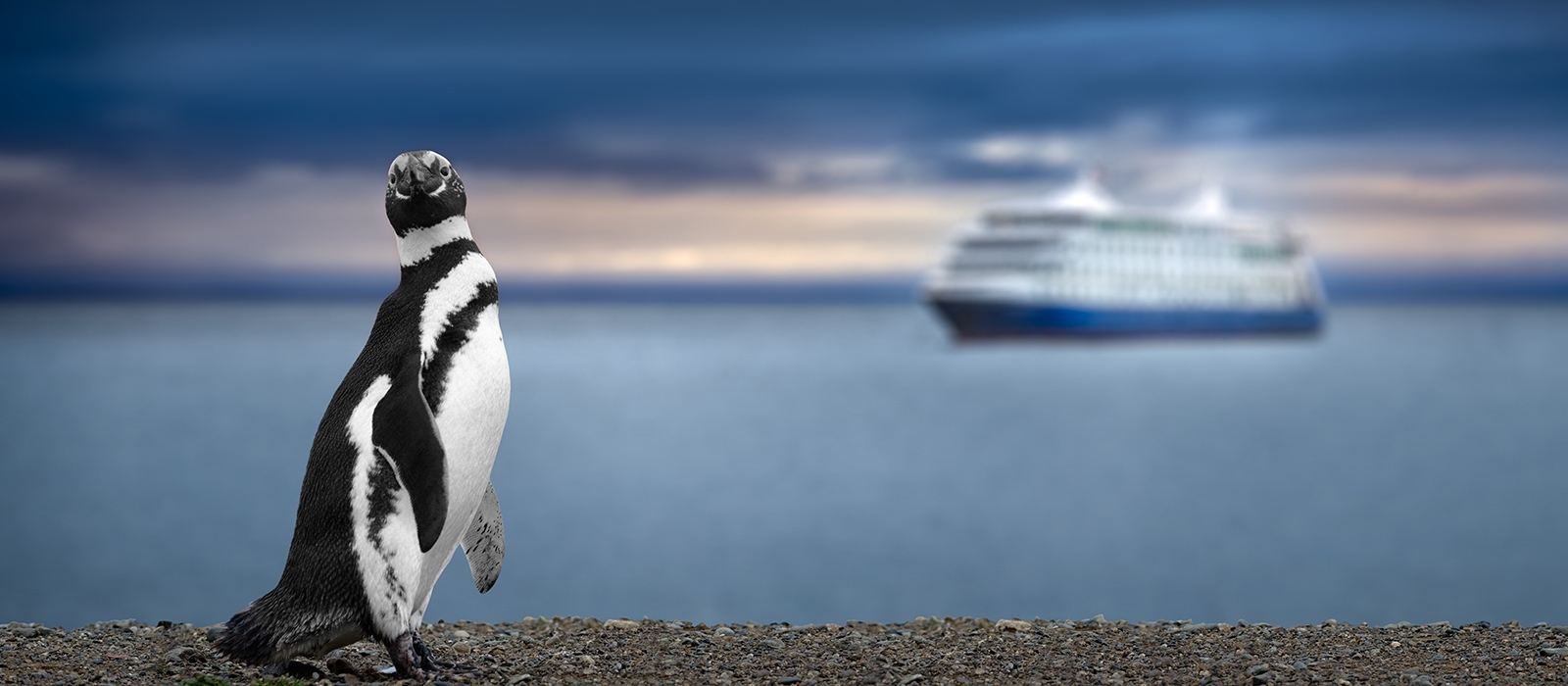 Croisière Australis : Cap Horn et Ushuaïa - voyage sur mesure
