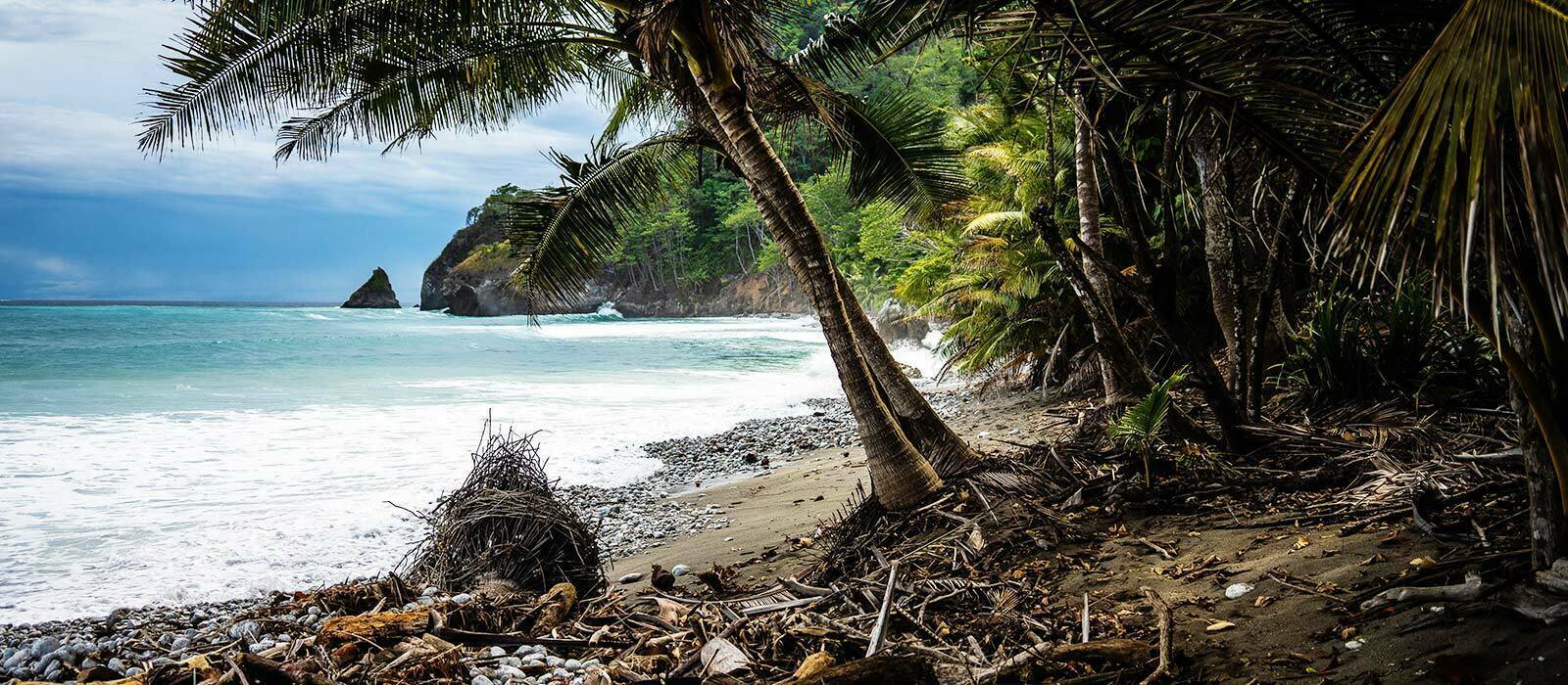 Voyage sur mesure au Costa Rica : Corcovado, Pacifique Sud