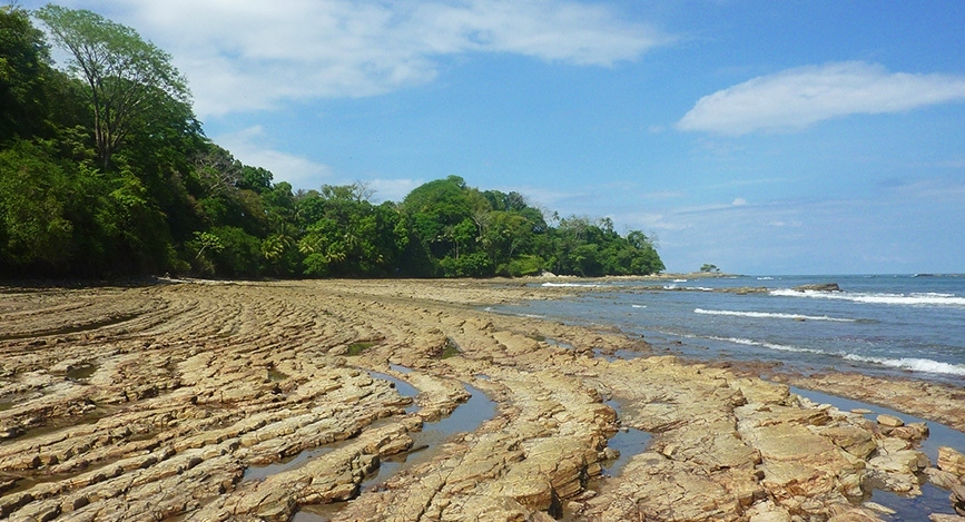 Parc national Marino Ballena, Costa Rica : rencontre avec la nature marine