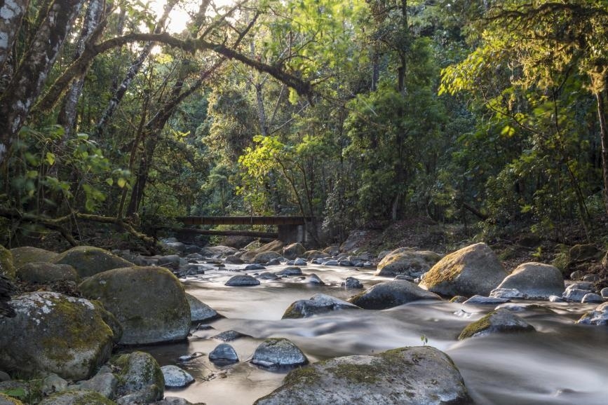 Réserve Cloudbridge