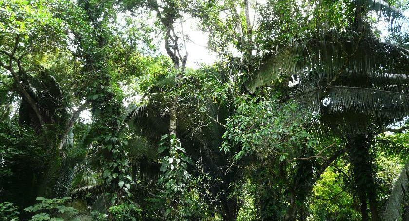 visiter Visite du site Ceibal