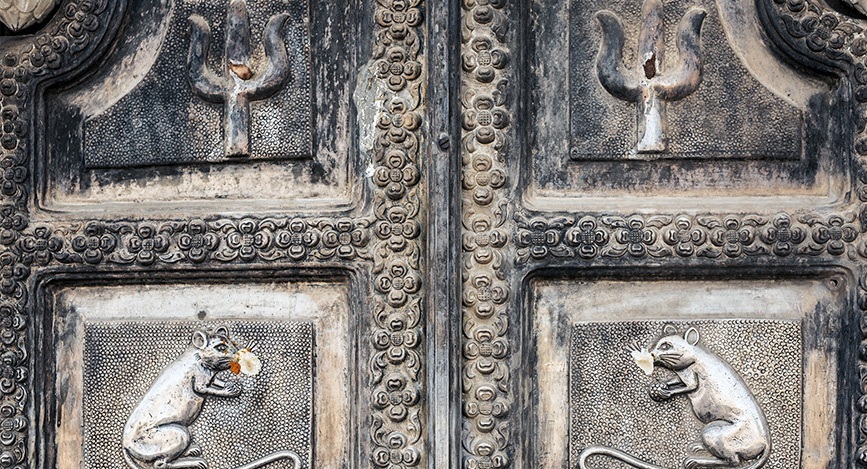 Visiter Temple Shri Karni Mata (temple des rats)