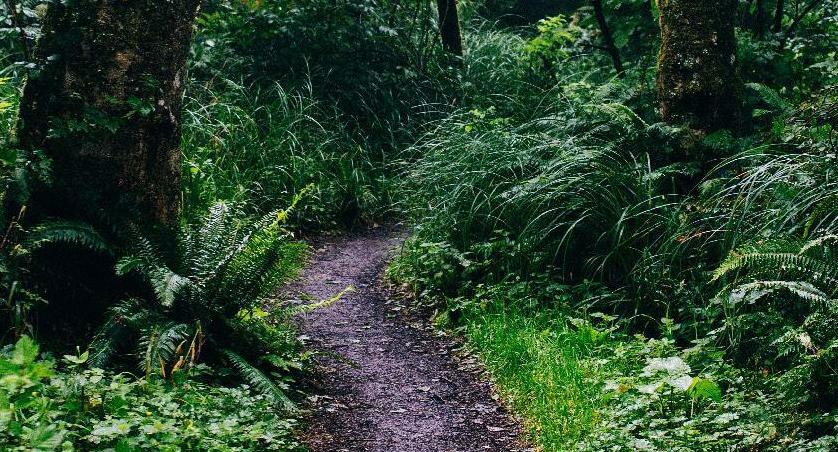 Visiter le village de Muang Sing