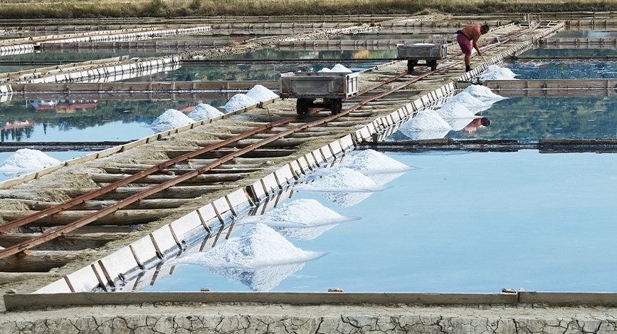 Découvrir les salines de Sečovlje